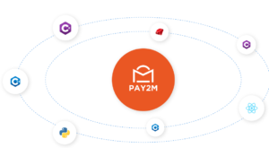 Enhance Your Payments Experience with Pay2M Solutions