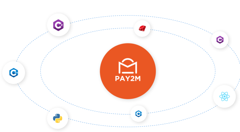 Enhance Your Payments Experience with Pay2M Solutions